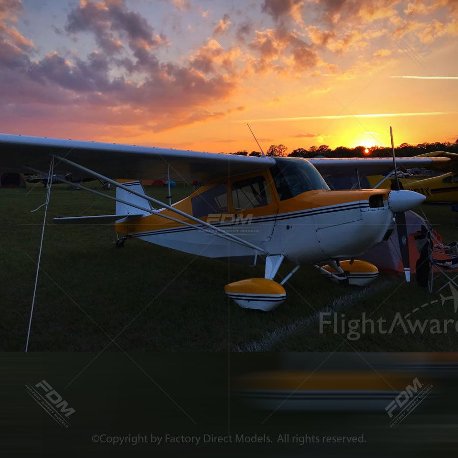 Custom-Built American Champion 7ECA Model Airplane | Factory Direct Models